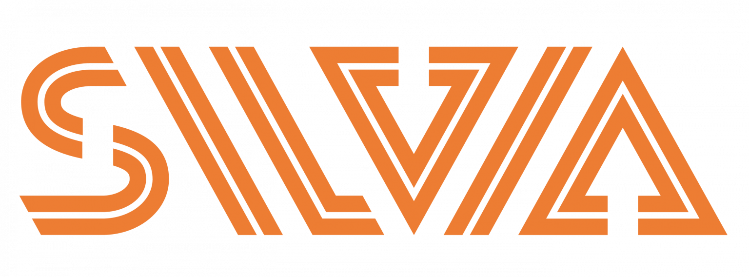 SILVIA Fire Risk Assessment – google