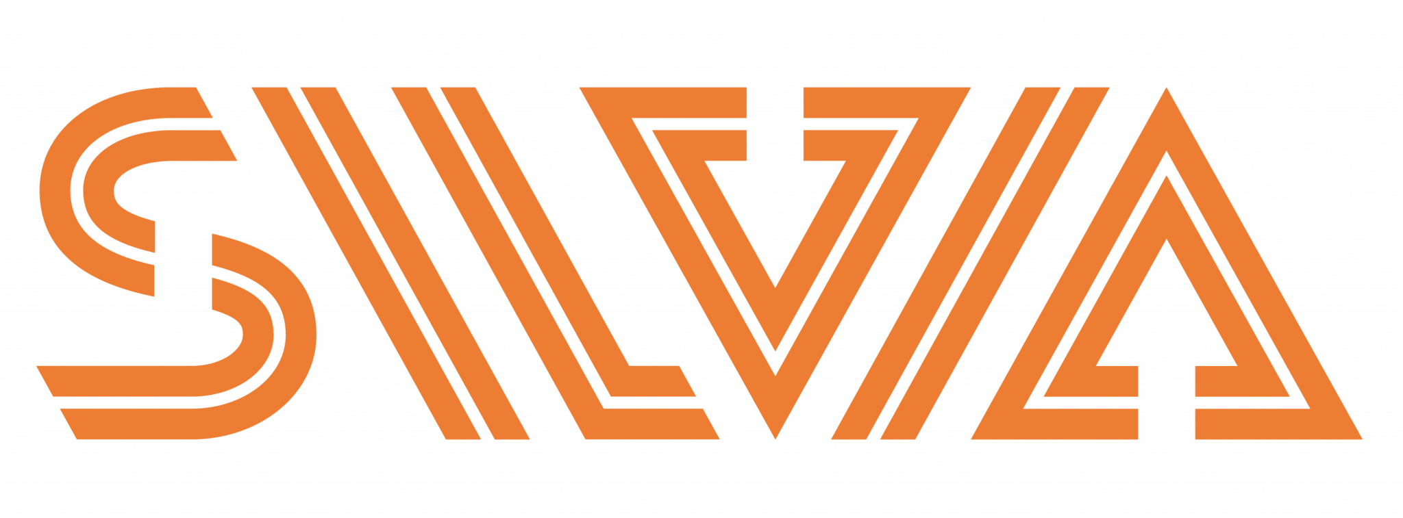 SILVIA Fire Risk Assessment – google